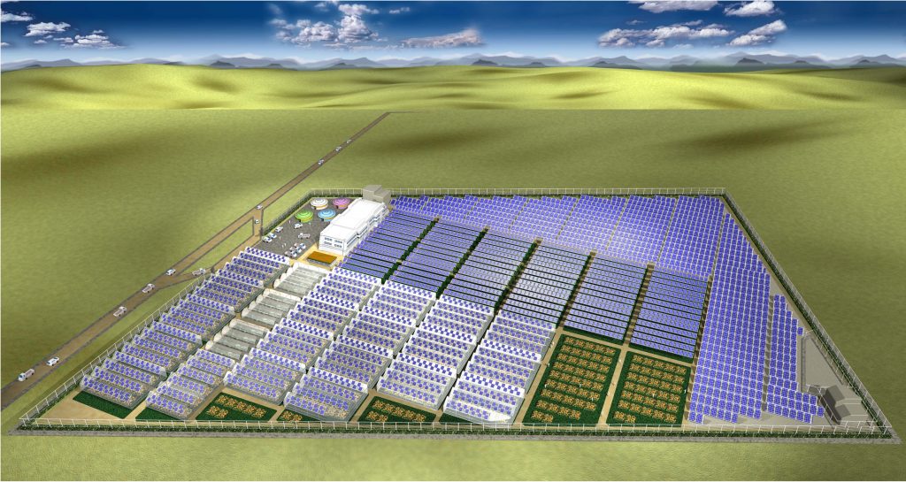 Monnaran farm’s future vision | モンゴルのぞきみ